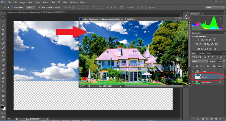 How to Use the Magic Wand Tool in Photoshop For Fast Selections